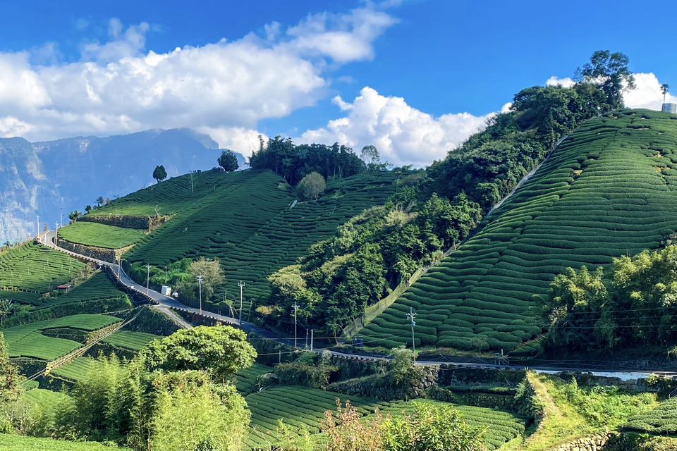 Taiwan Beyond Tour | Authentic Taiwan Travel